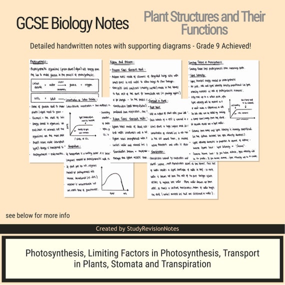 GCSE Biology Notes For: Photosynthesis Plant Structures and | Etsy