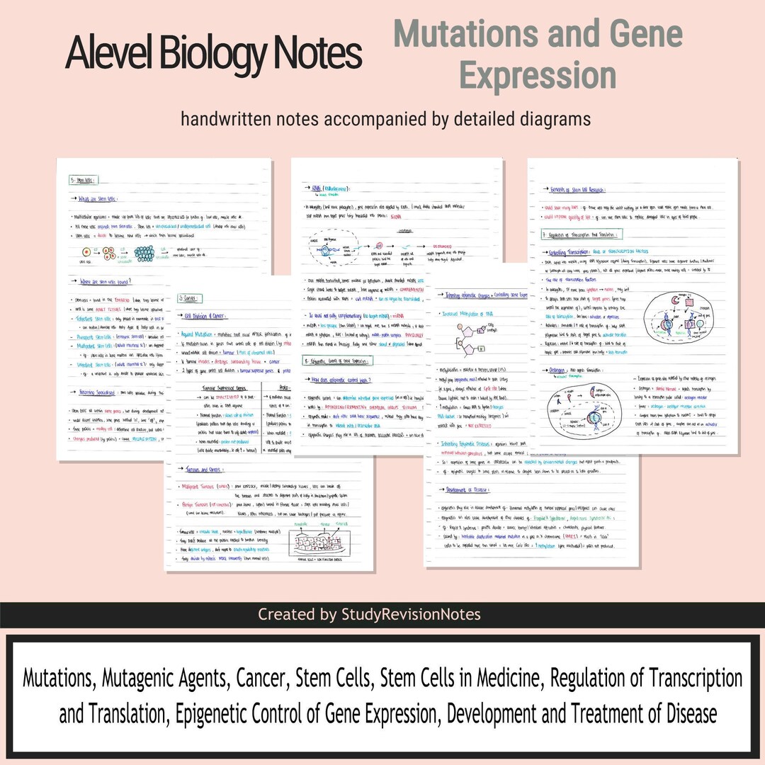 Biology Notes: Topic 8A Mutations and Gene Expression - A* Student - Etsy