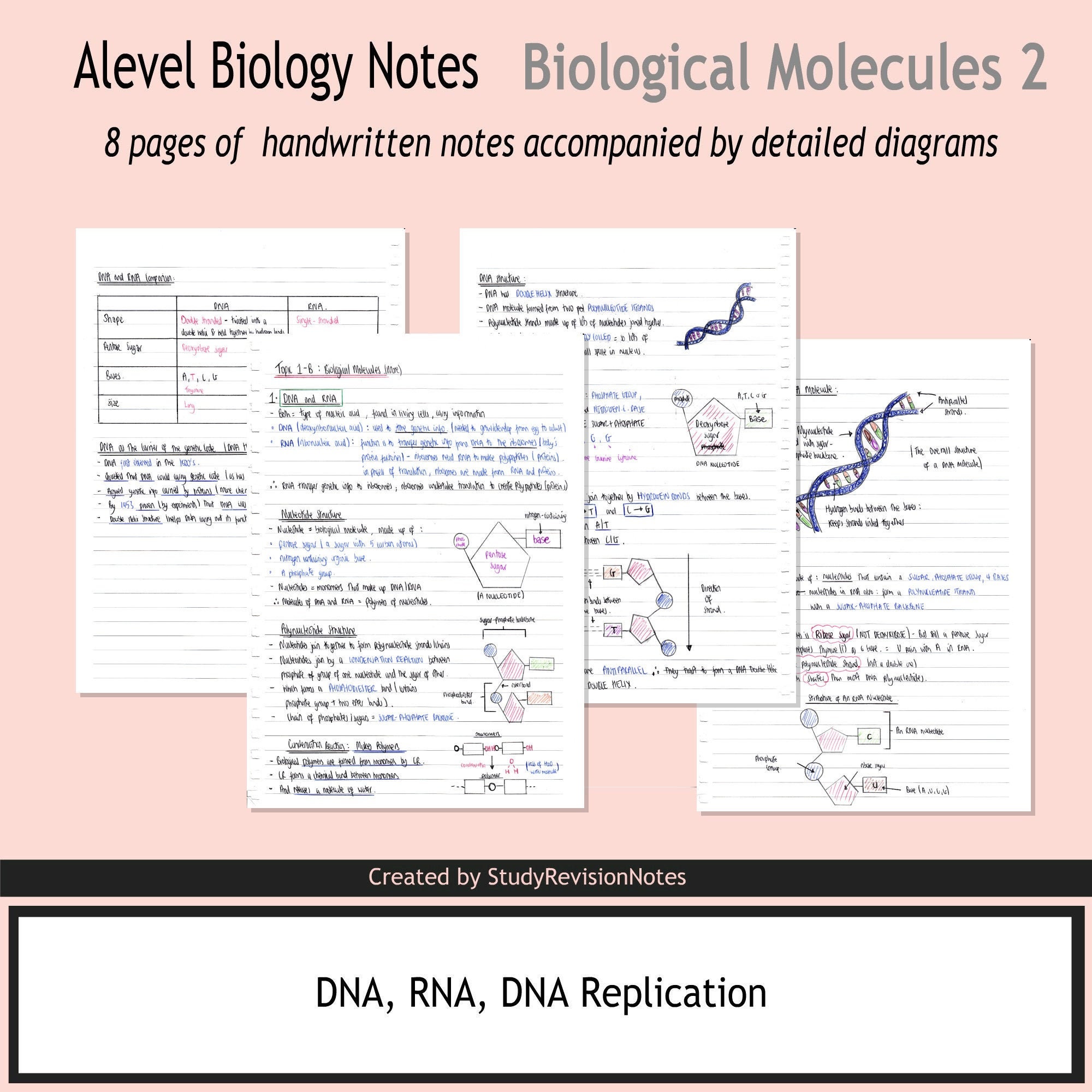Biology Notes: Biological Molecules 2- A* Student - Etsy