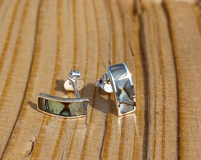 Abalone Shell and Sterling Silver Detail Stud Earrings - Etsy