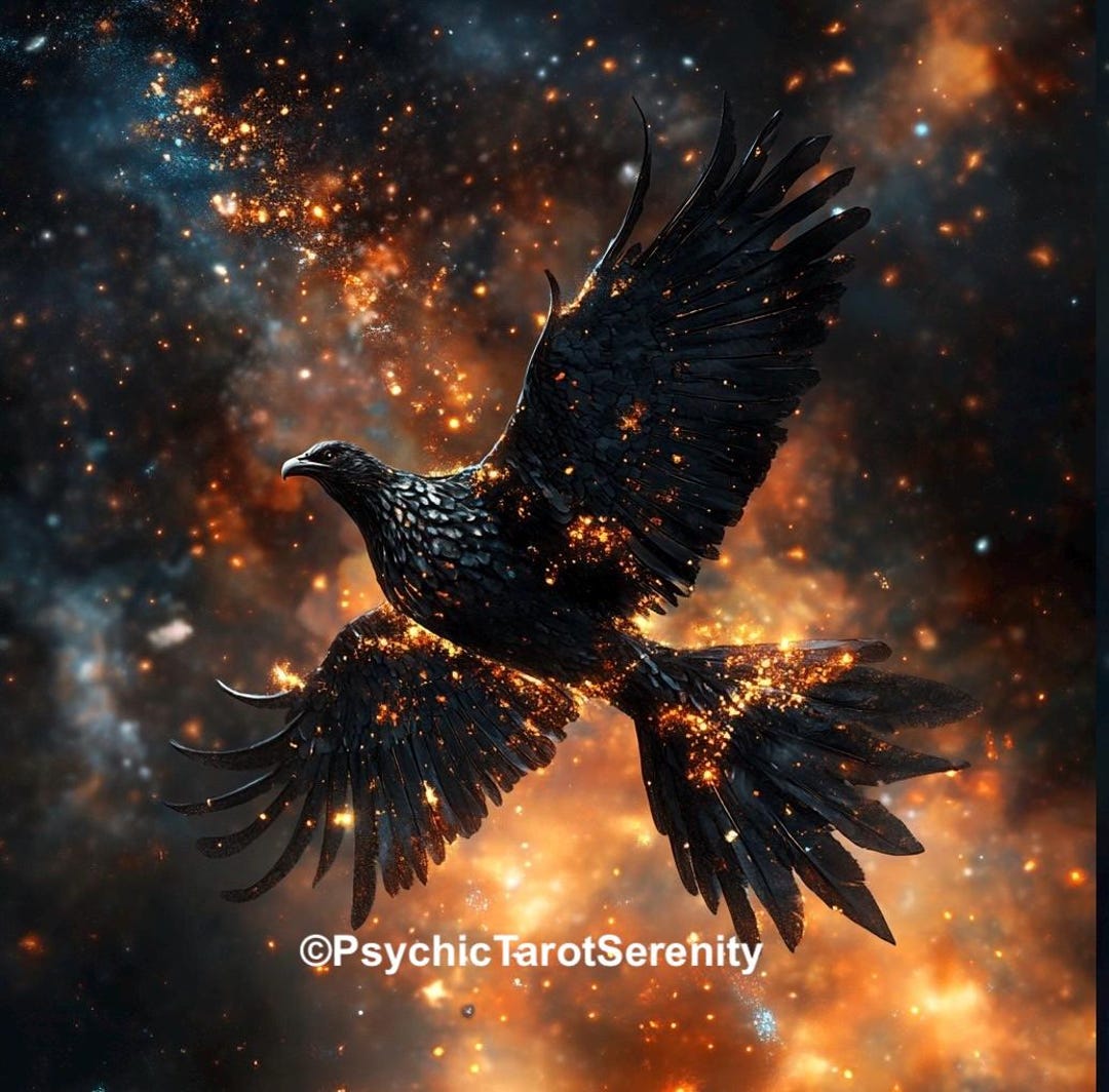 Rare Black Astral Phoenix. Conjuring Remote Binding. Wealth. Luck ...