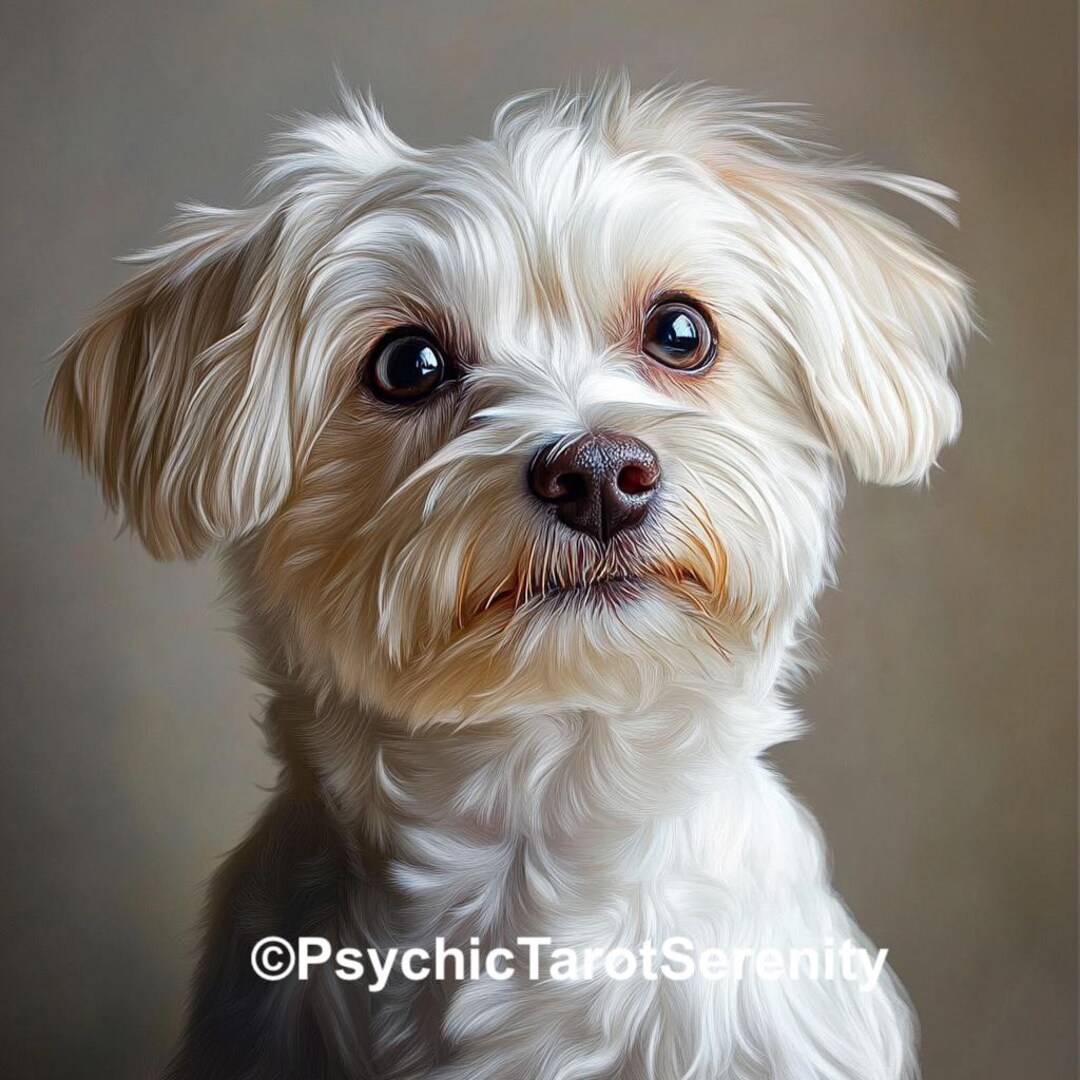 Dog Spirit Companion Conjuring Remote Binding Calmness Manage Anxiety ...