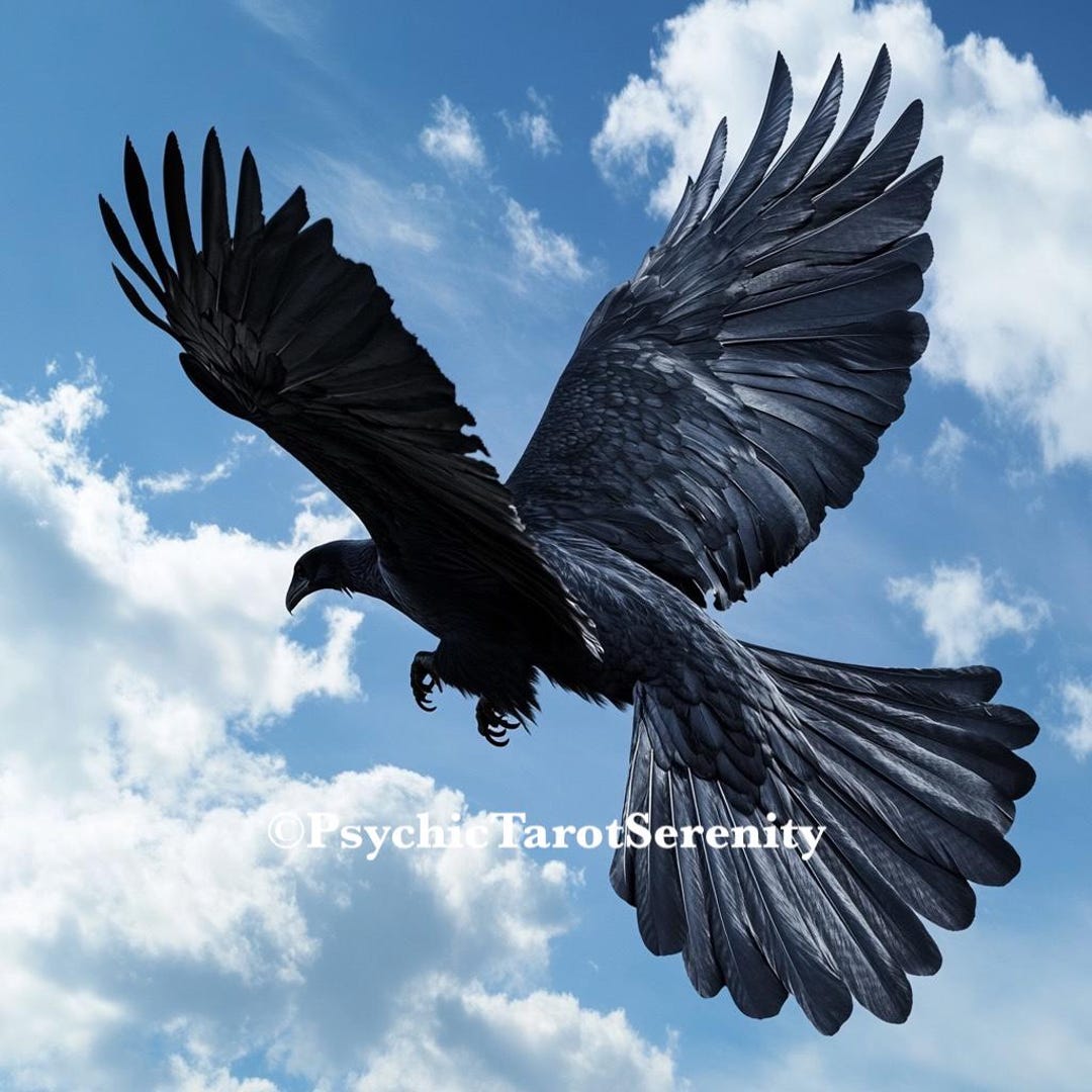 Black Phoenix Spirit Companion Conjuring Remote Binding Resilience ...