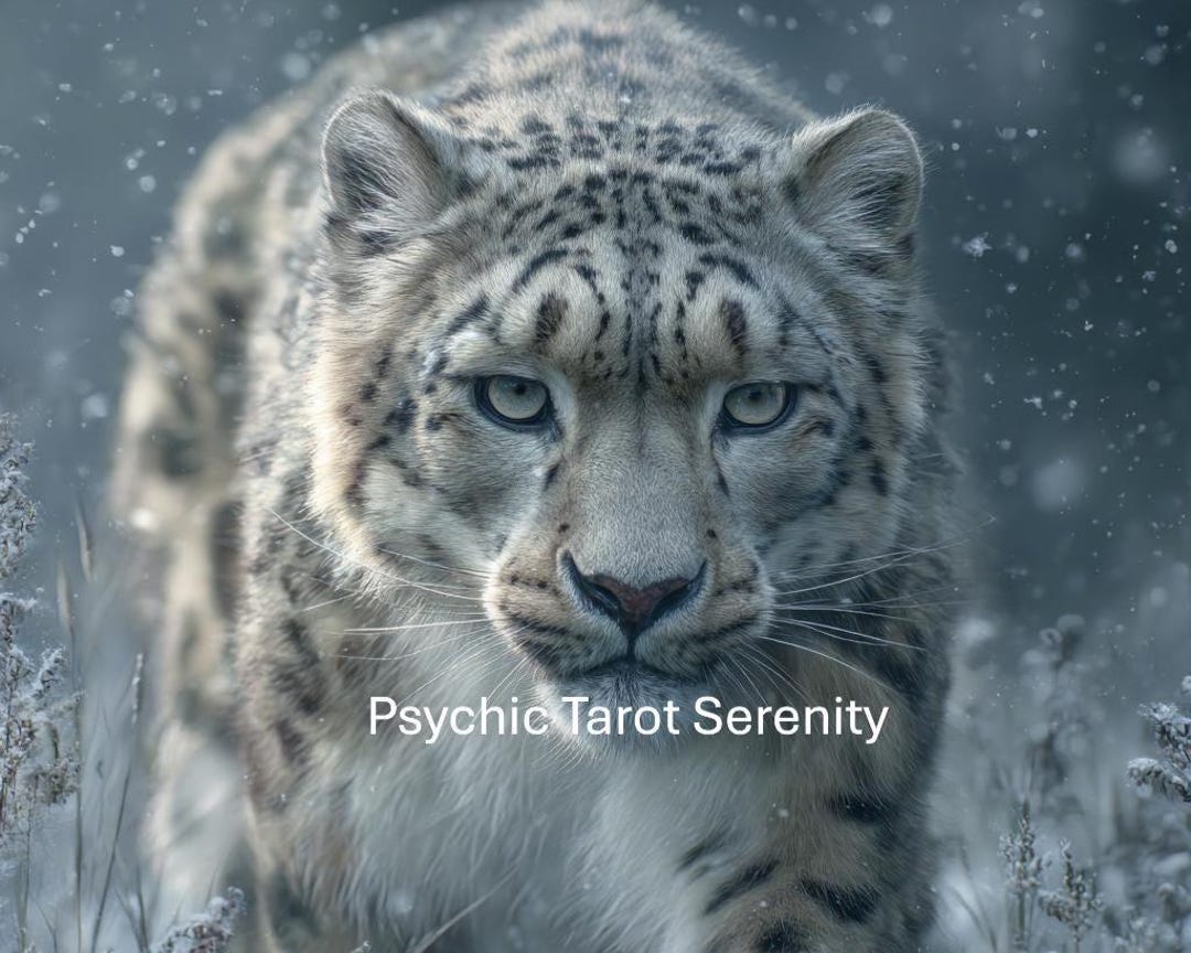 Snow Leopard Spirit Companion: Strength Intuition (PDF Information ...