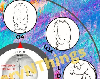 Fetal Position Wheel - Classic - Digital Download PDF - Etsy