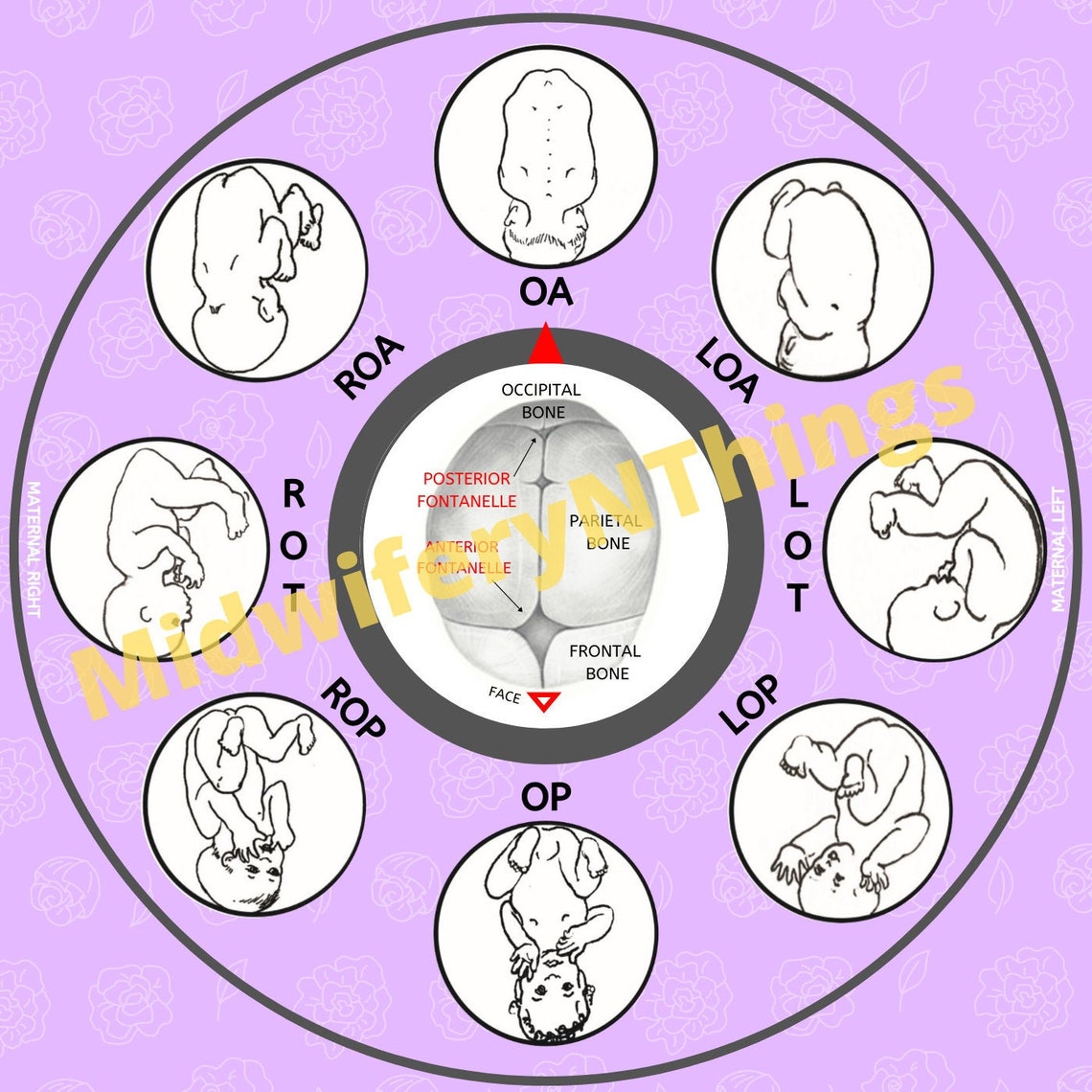 Fetal Position Wheel - Floral - Digital Download PDF - Etsy UK