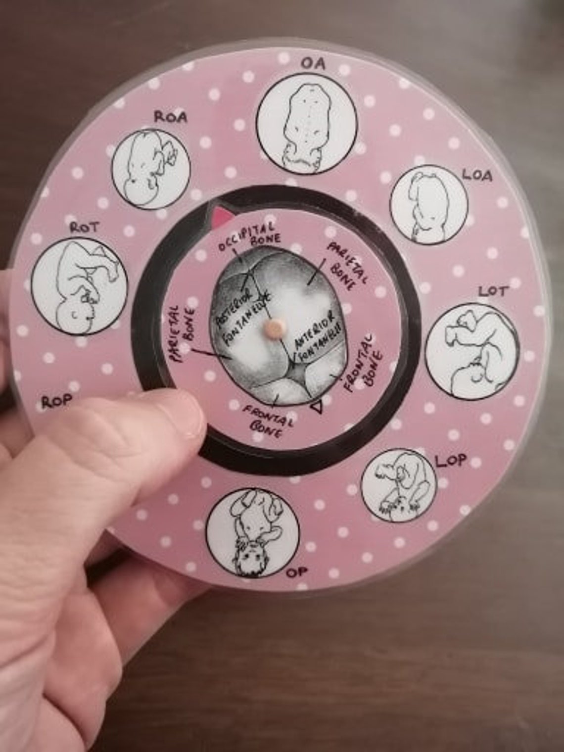 Fetal Position Wheel - Classic - Digital Download PDF - Etsy