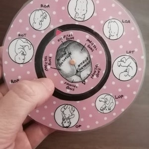 Fetal Position Wheel - Classic - Digital Download PDF - Etsy