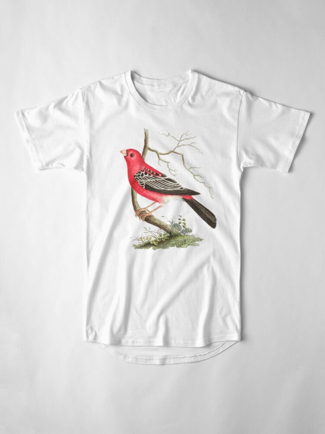 Red Bird Svg Digital File PNG 300 DPI Printable High - Etsy