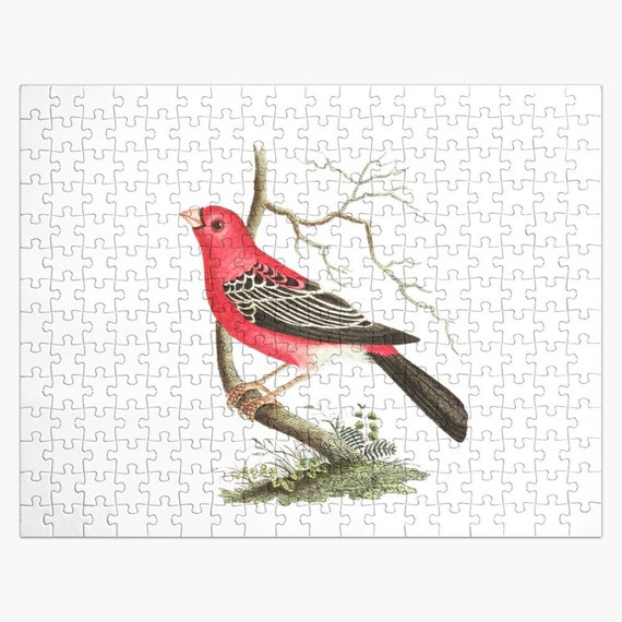 Red Bird Svg Digital File PNG 300 DPI Printable High | Etsy