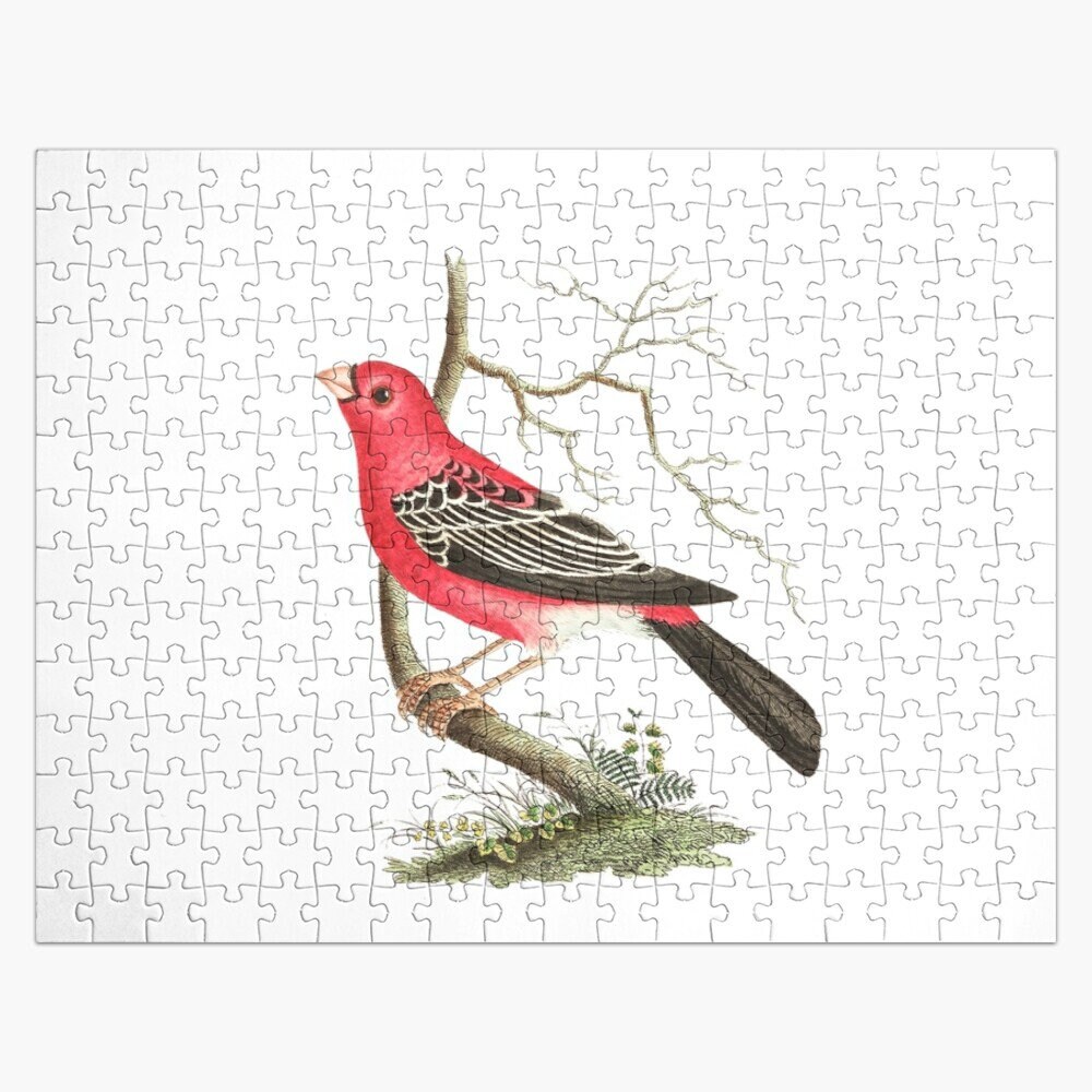 Red Bird Svg Digital File PNG 300 DPI Printable High - Etsy