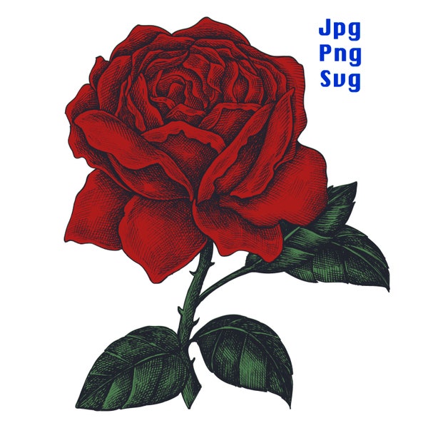 Roses Svg - Etsy