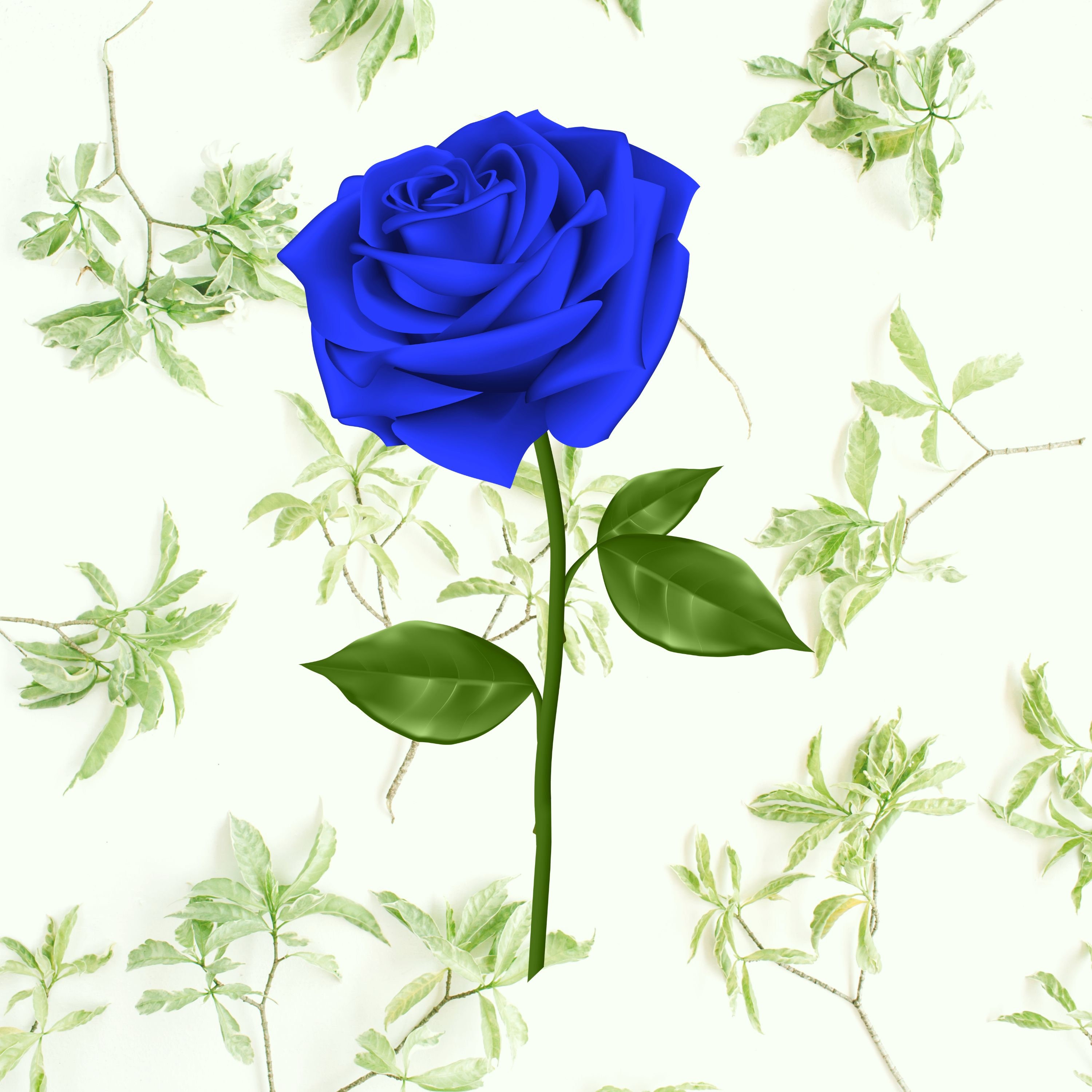 Blue Rose With Stem JPG PNG Svgdigital Download Hd High - Etsy