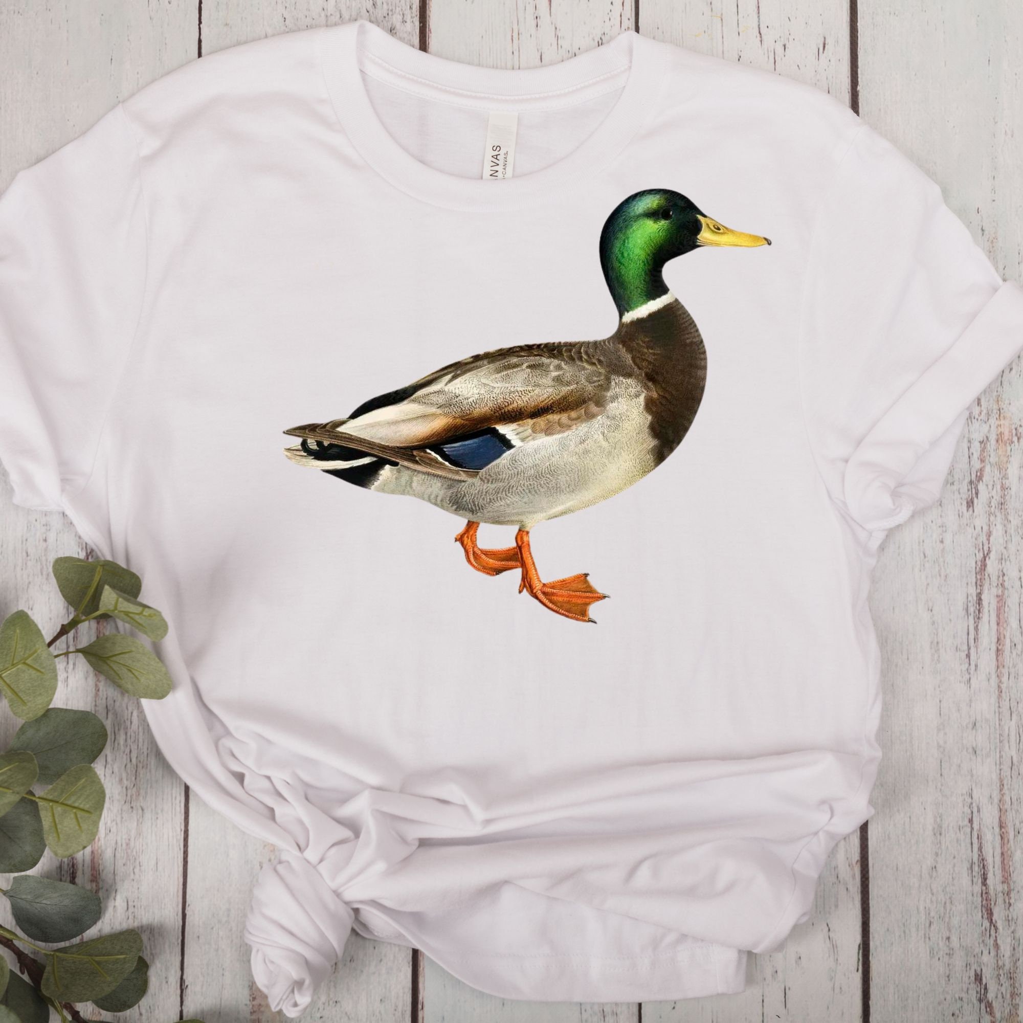 Early 1900's Mallard Duck, Instant Download, Digital Image, Vintage ...