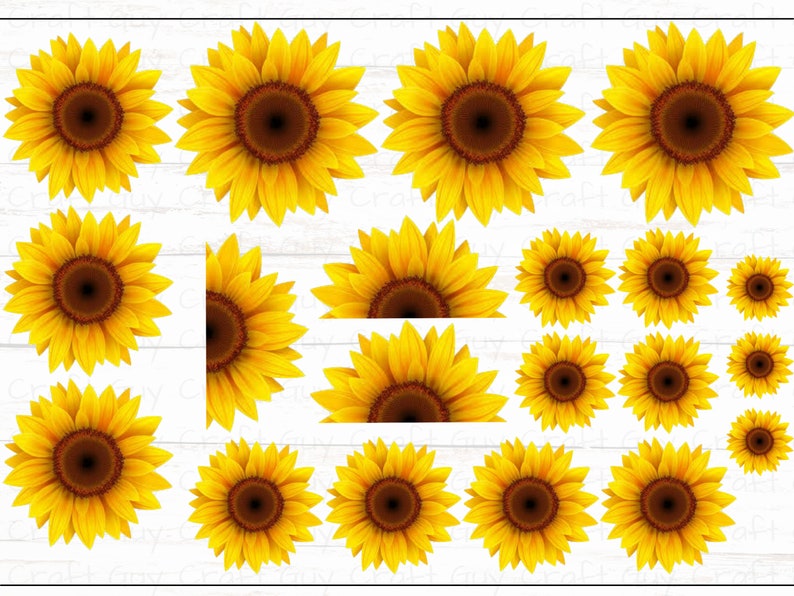 Sunflower Waterslide Image PNG SVG Tumbler Waterslide - Etsy