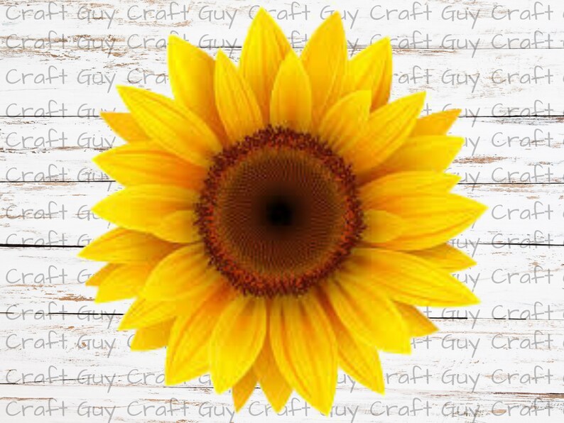 Sunflower Waterslide Image PNG SVG Tumbler Waterslide - Etsy