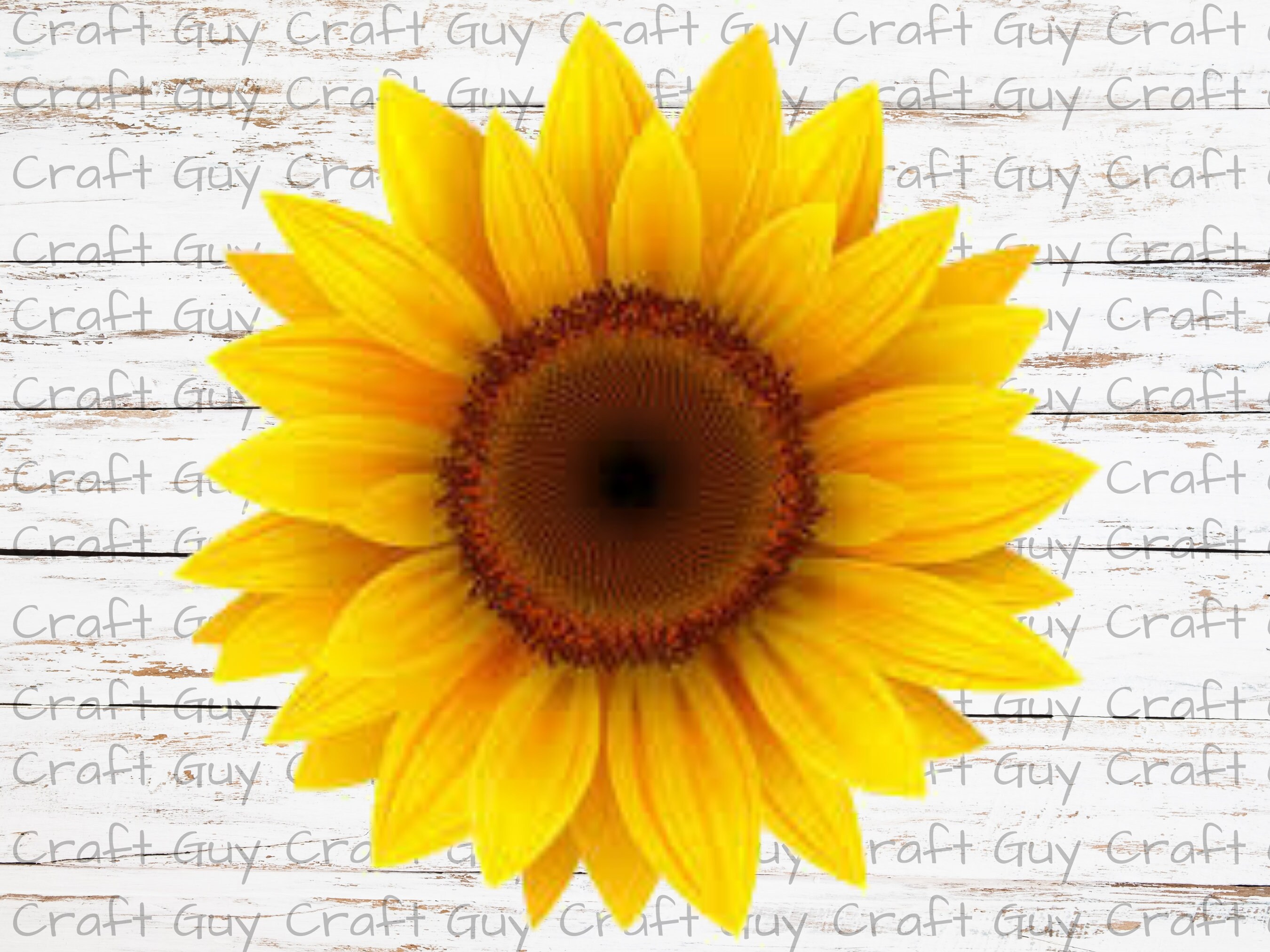 Sunflower Waterslide Image PNG SVG Tumbler Waterslide - Etsy Australia