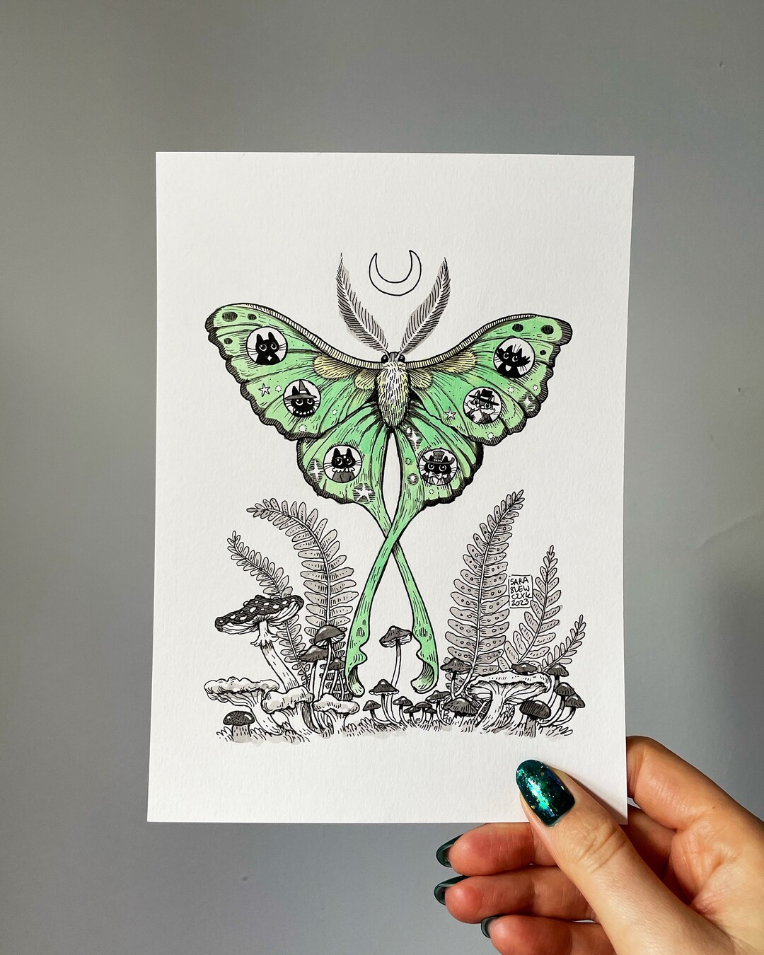 Moth Original Ink Illustration - Etsy