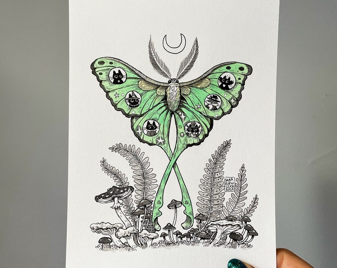 Moth Original Ink Illustration - Etsy