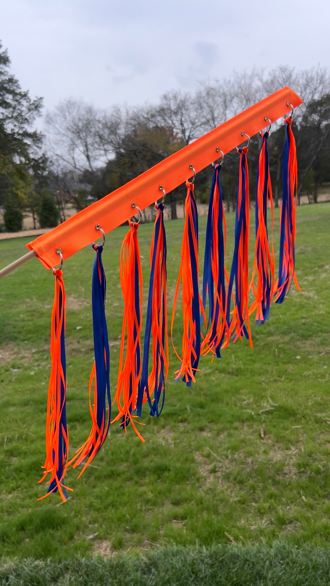 Colorful Cycling Flag, Recumbent Bike Flag, Mobility Scooter Flag ...