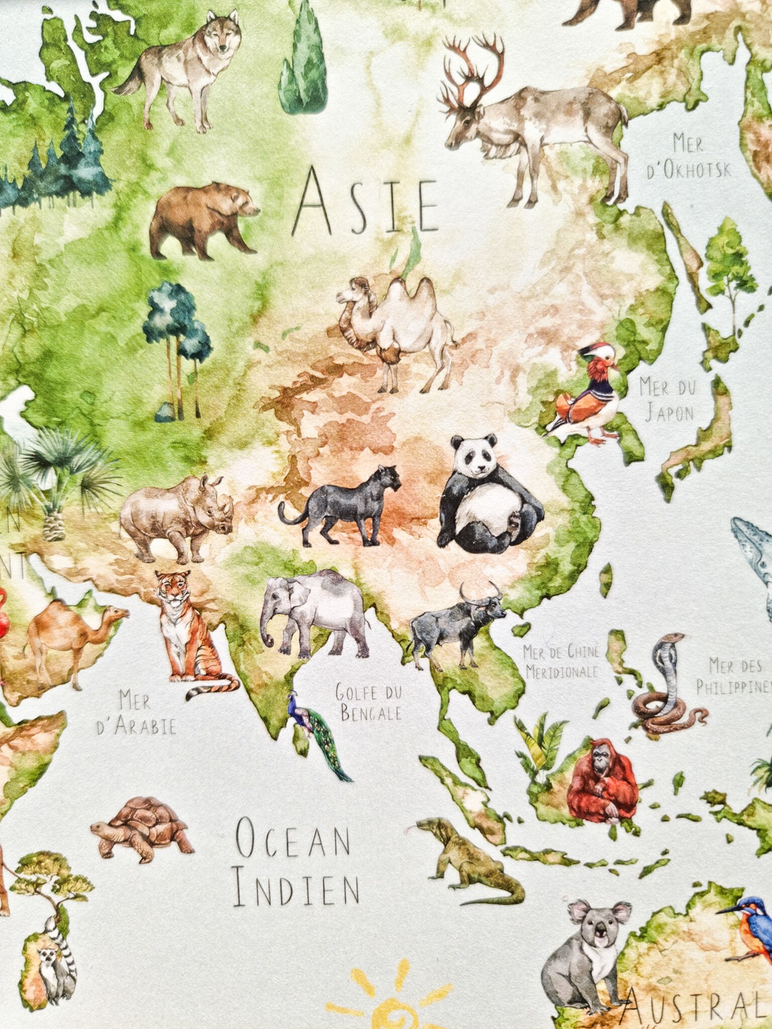 Kid's World Map Exotic Animals Watercolor World Map | Etsy