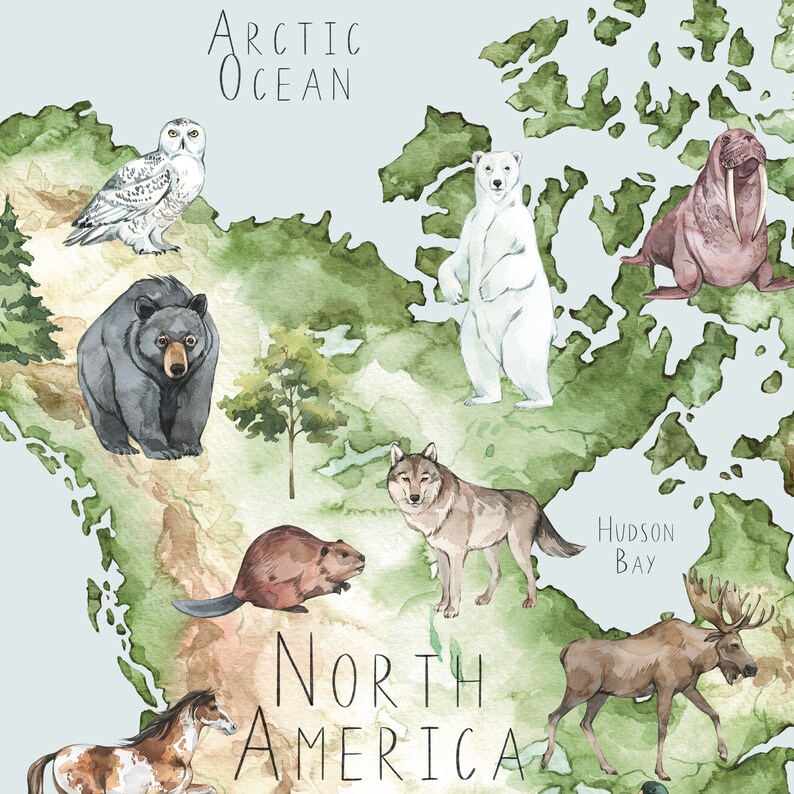 Kid's World Map Exotic Animals Watercolor World Map - Etsy Canada