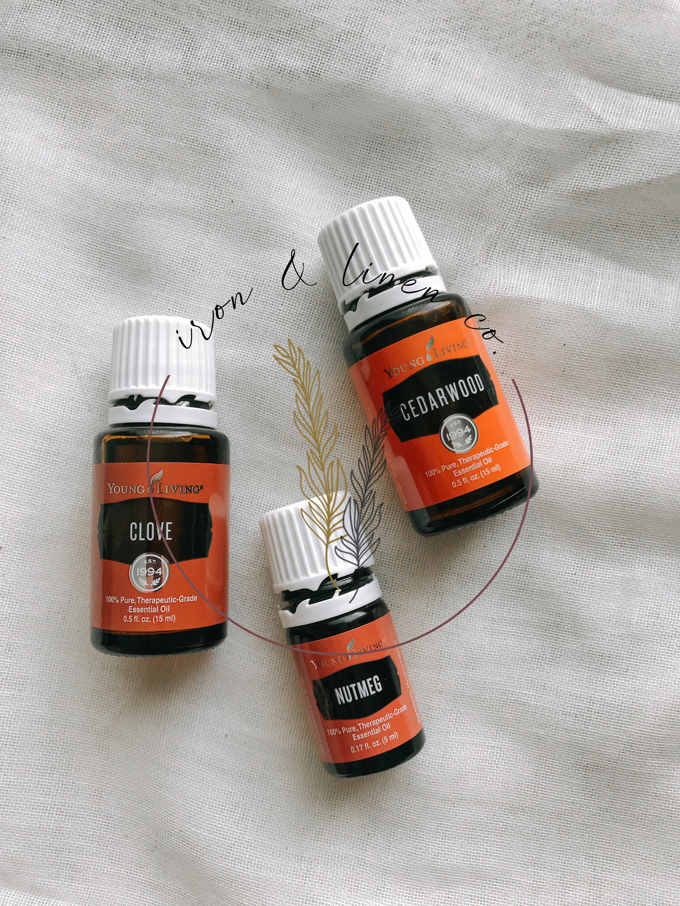 Fall Young Living Premium Starter Kit Styled Stock Photos Blogging ...