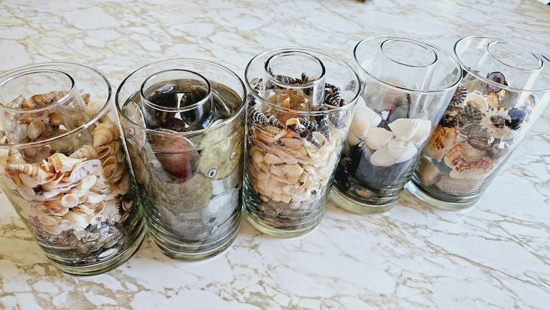Real Sea Shells in Cylinder Glass Terrarium Vase - Sealed With Resin ...