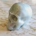 Medium Size Skull - 3D Skull 2.75 Inch - Made in Resin - Etsy