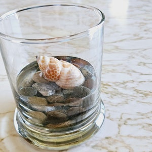 Real Sea Shell and Rocks in Round Glass Terrarium - Sealed With Resin ...