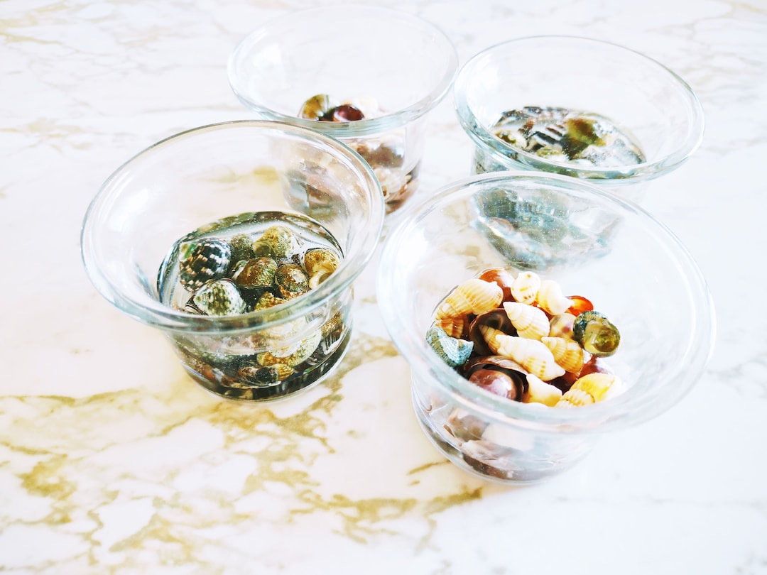 Ocean Sea Shells in Glass - Sealed With Resin - Etsy