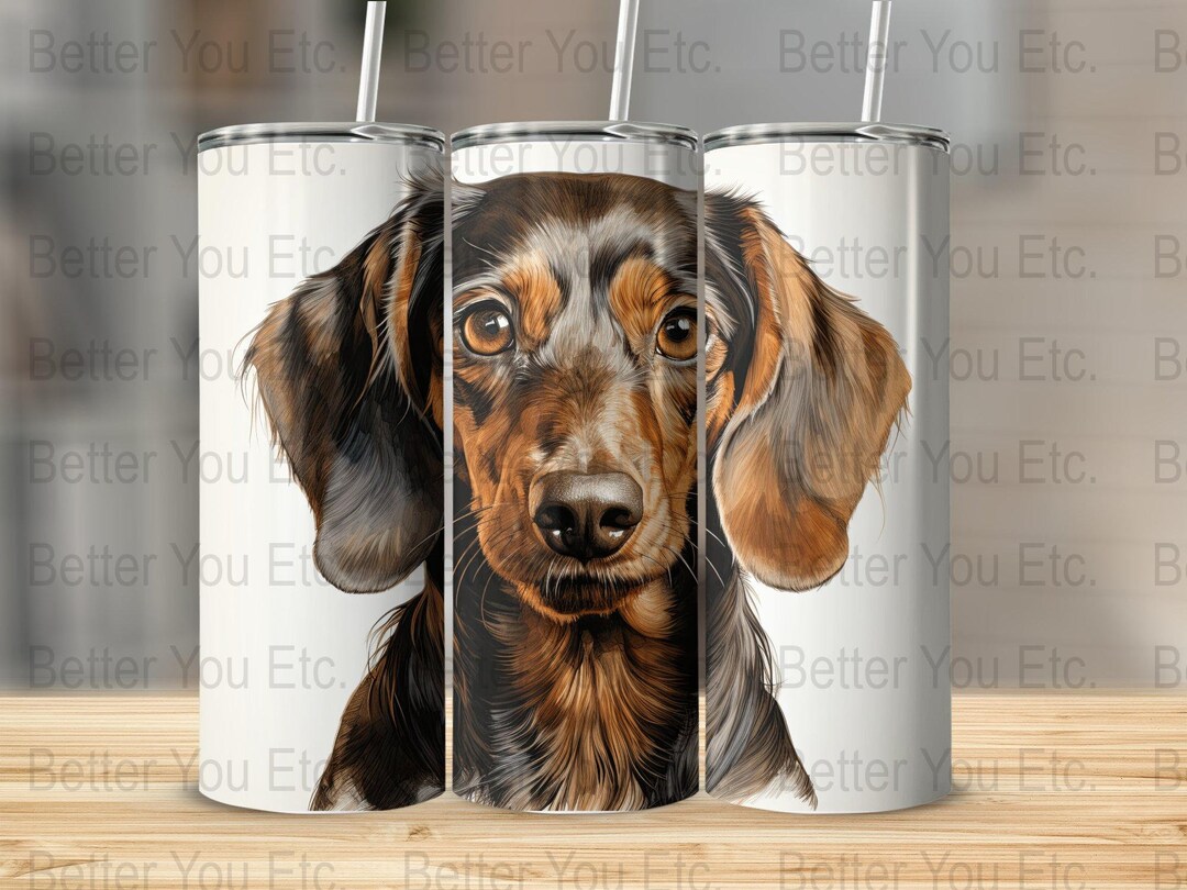 Dachshund PNG Gift Dachshund Weiner Dog Gifts 20 Oz Ounce Skinny ...