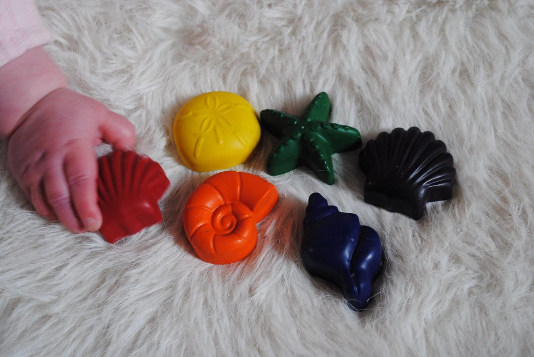 Seashell Crayons, Summer Crayons, Fun Shape Crayons, Ocean Gift, Summer ...
