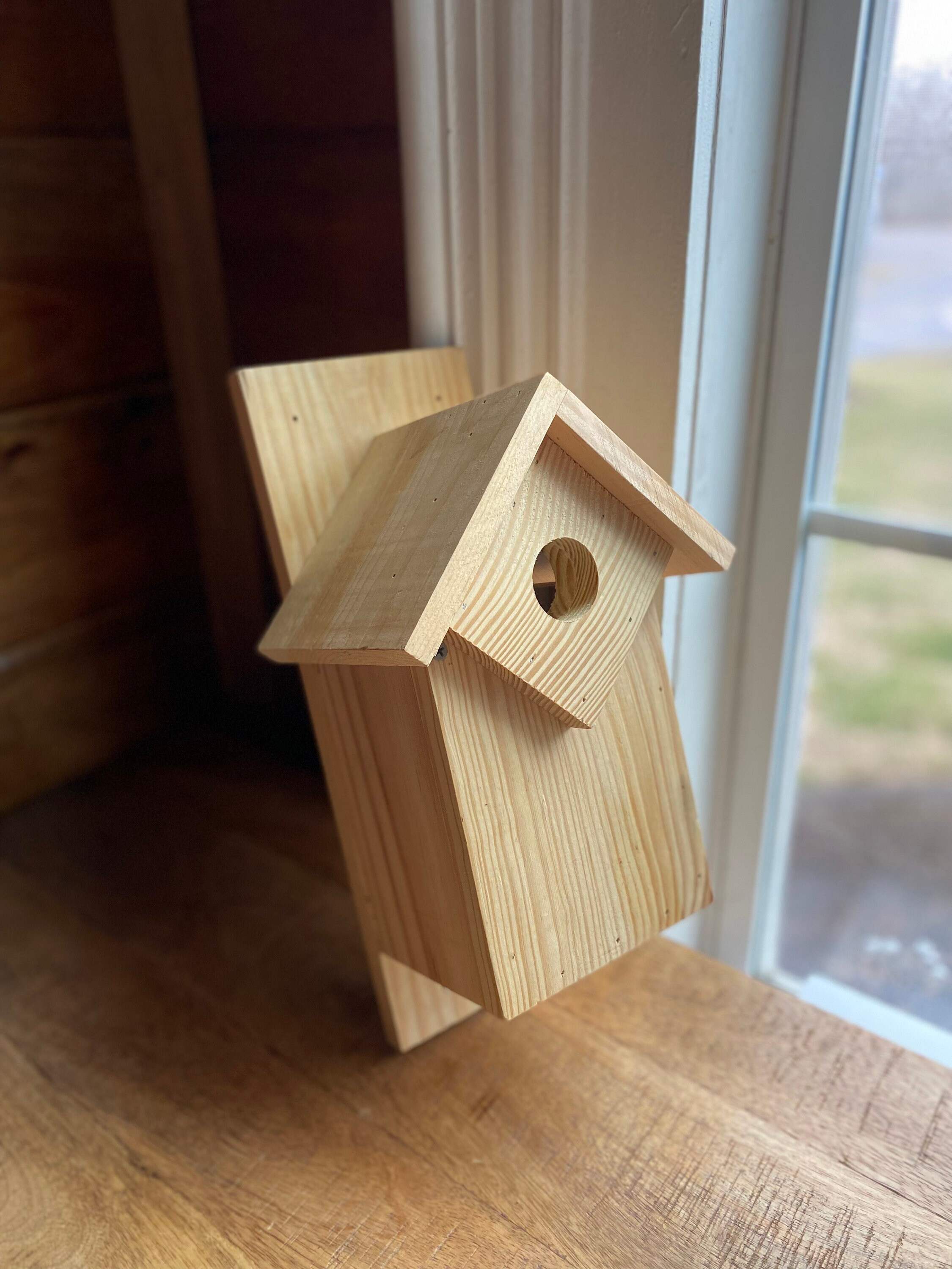 Bluebird Birdhouse, De-bug Birdhouse, Bluebird House, Large Birdhouse ...
