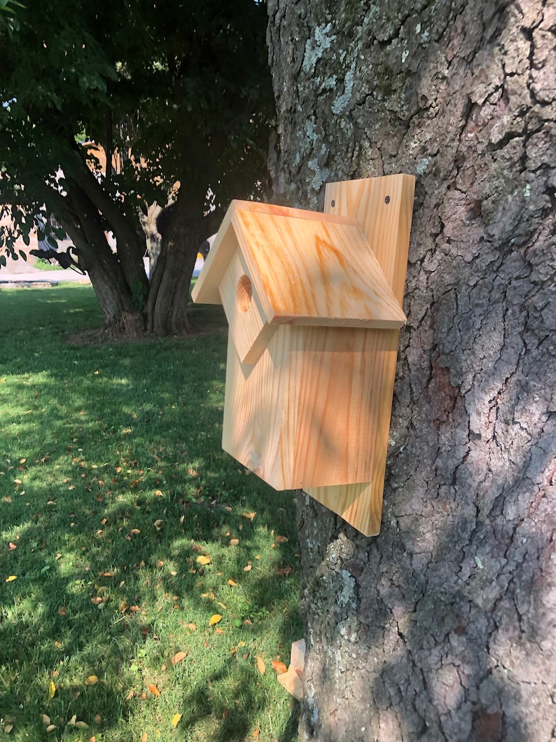 Bluebird Birdhouse, De-bug Birdhouse, Bluebird House, Large Birdhouse ...