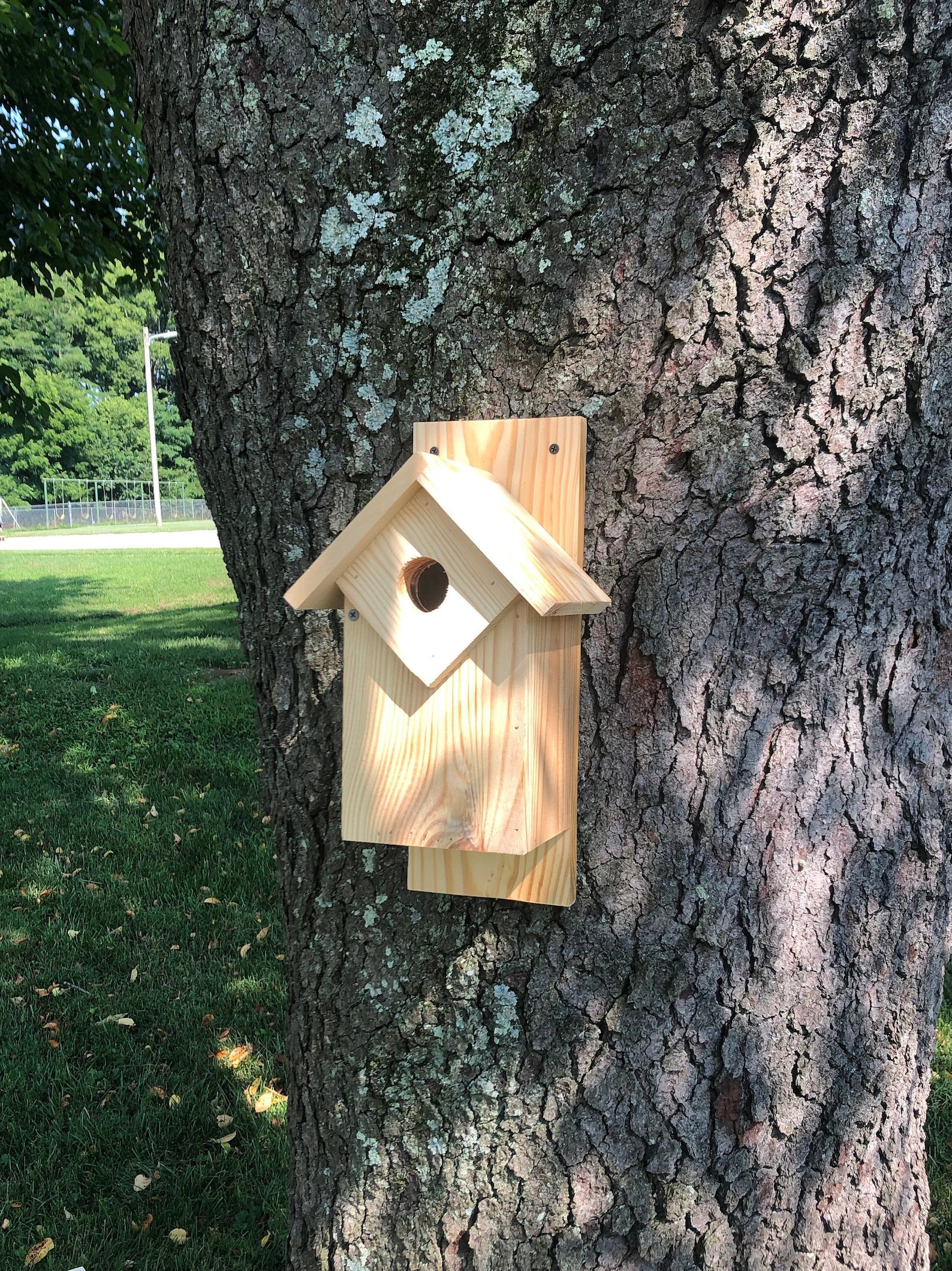 Bluebird Birdhouse, De-bug Birdhouse, Bluebird House, Large Birdhouse ...