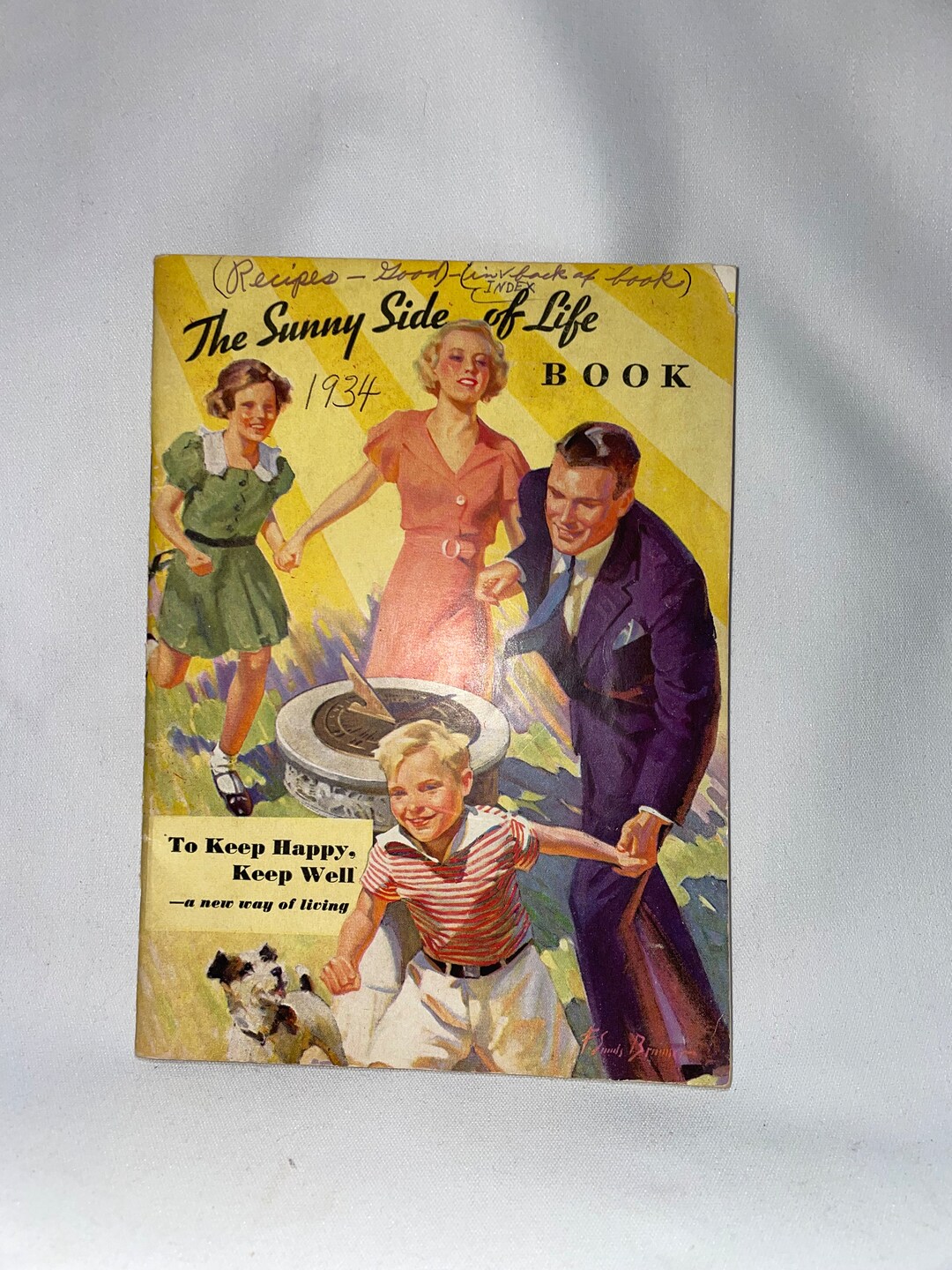 The Sunny Side of Life Book - Etsy