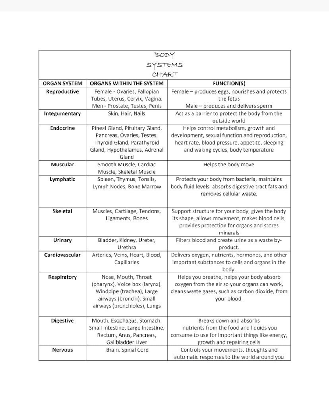 Organ System Chart