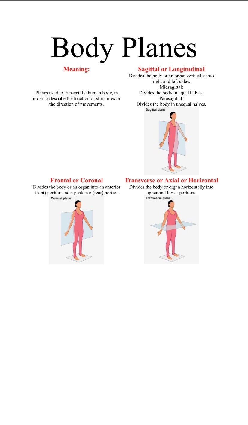 Longitudinal Plane Of The Body