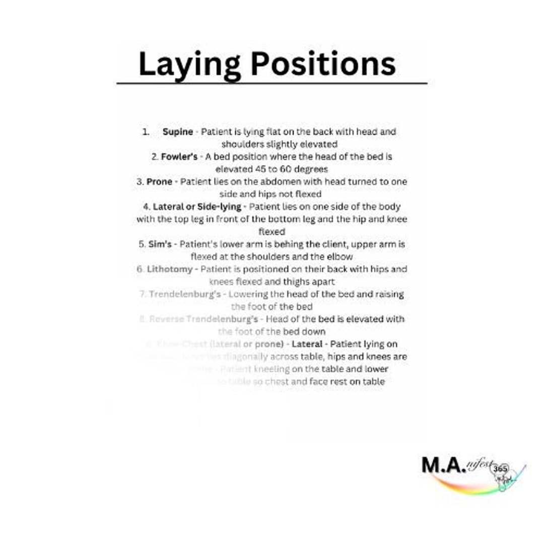 Laying Positions - Etsy