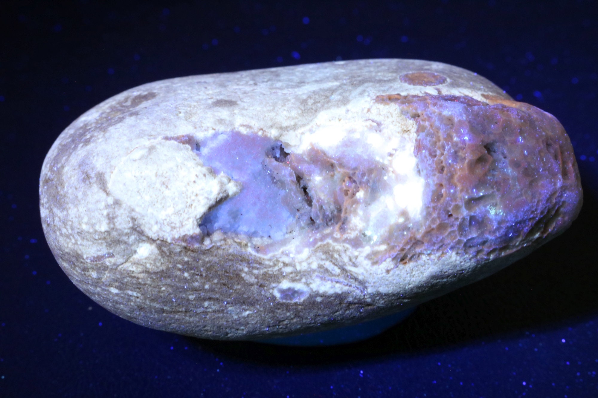 Phosphorescent Glowing Calcite Fossil UV Reactive RARE | Etsy