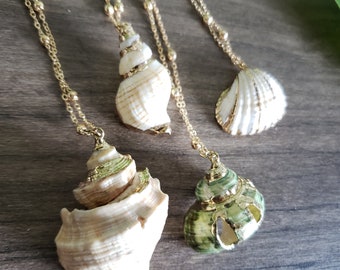 Sea Shell Pendant | Etsy