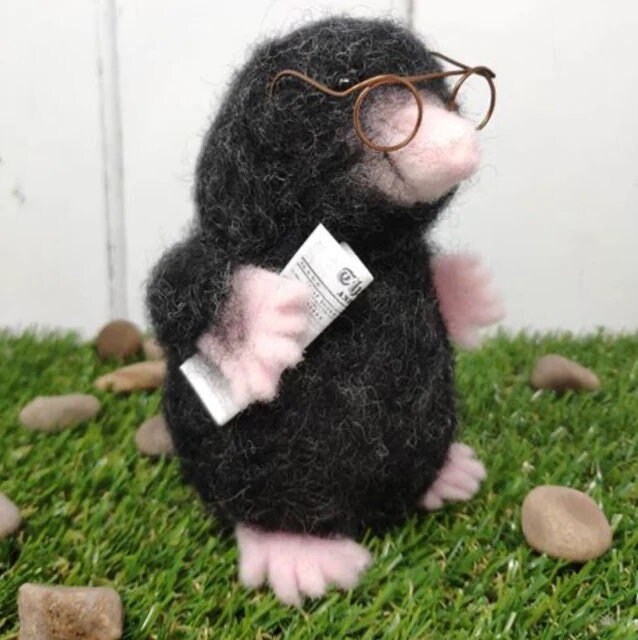 Mr Mole Needle Felting Kit by the Crafty Kit Company - Etsy