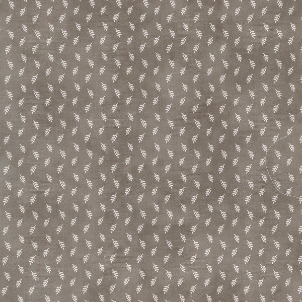 Honeybloom Charcoal - Etsy