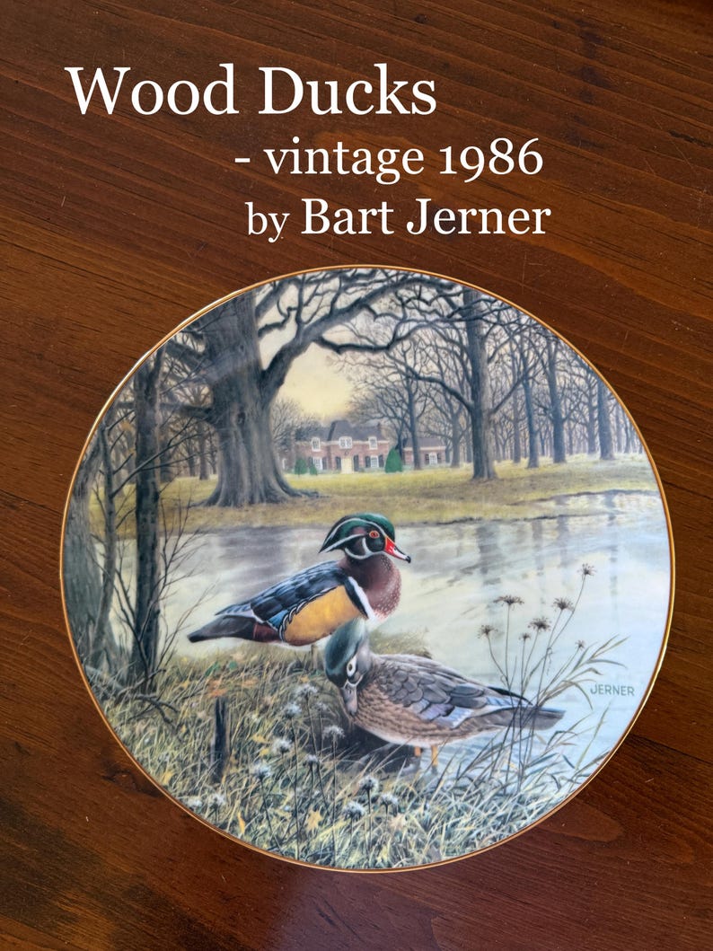 Vintage Pintail Duck Art Plate by Bart Jerner is an Edwin Knowles ...