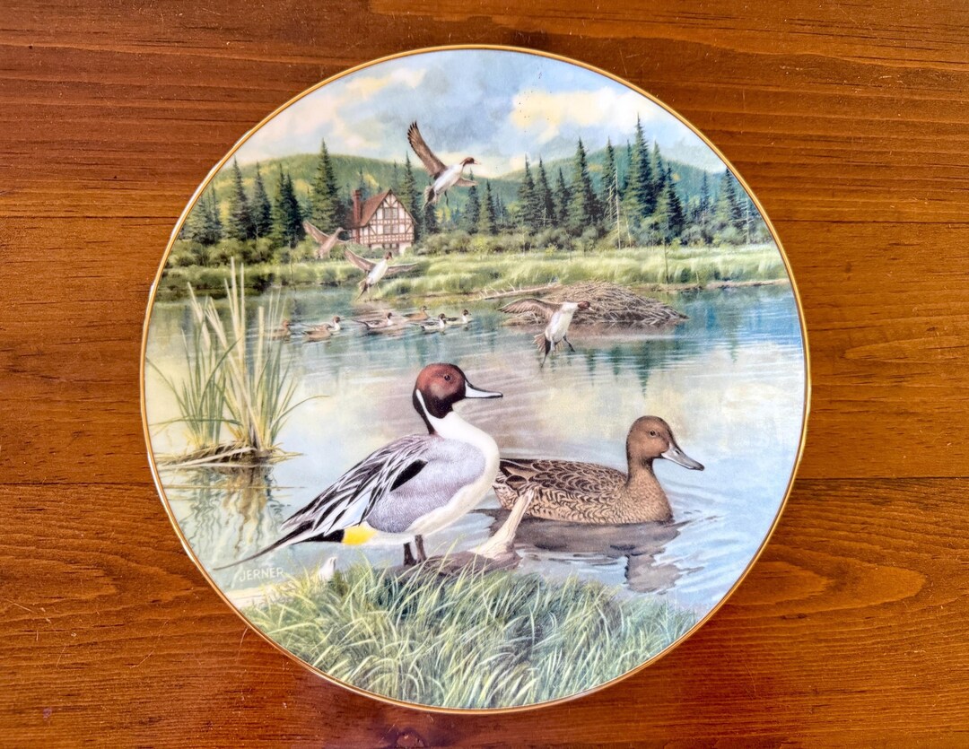 Vintage Pintail Duck Art Plate by Bart Jerner is an Edwin Knowles ...