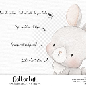 Watercolor Easter Clipart Pastel Colors Spring Bunny Clipart - Etsy