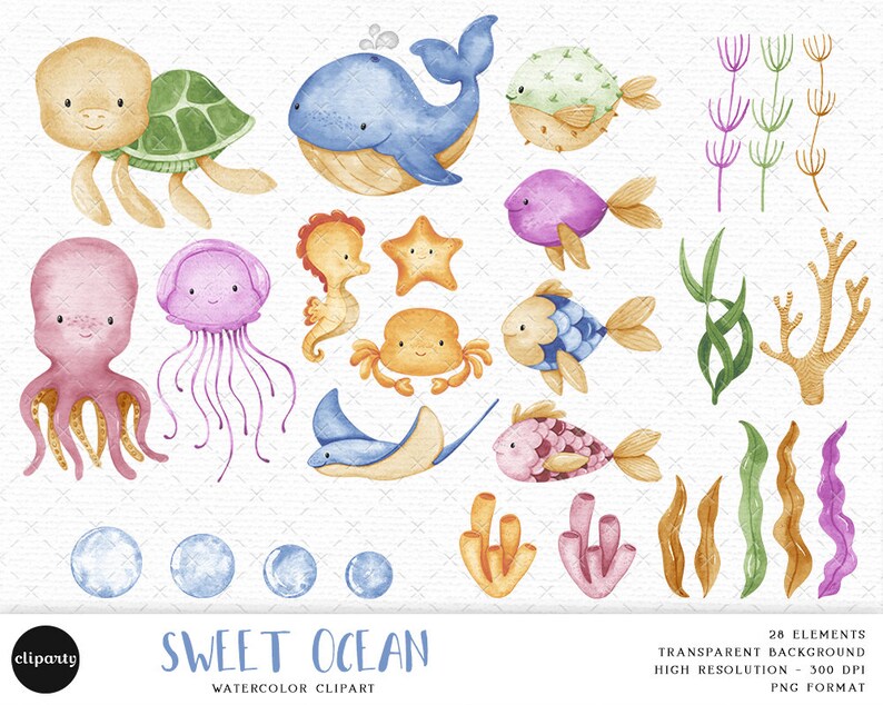 Ocean Animals Clipart Sea Animals Watercolor Clipart - Etsy