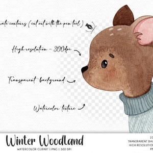 Winter Woodland Animals Clipart Christmas Woodland Nursery - Etsy