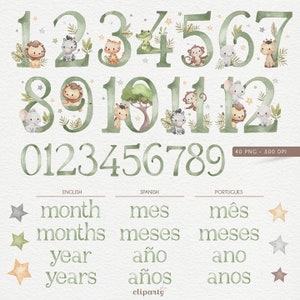 Baby Monthly Milestones Watercolor Clipart, Milestone Month Numbers ...